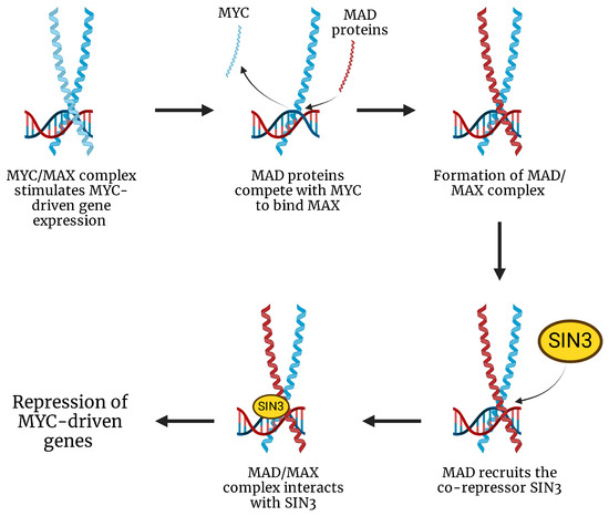 Untangling the Role of MYC in Sarcomas and Its Potential as a Promising ...