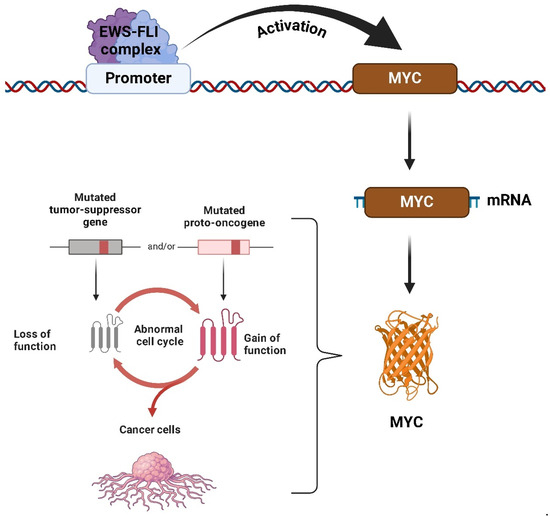 Untangling the Role of MYC in Sarcomas and Its Potential as a Promising ...