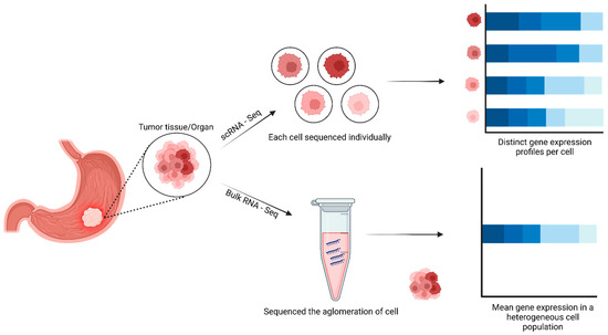 Single-Cell Sequencing: Genomic and Transcriptomic Approaches in Cancer ...