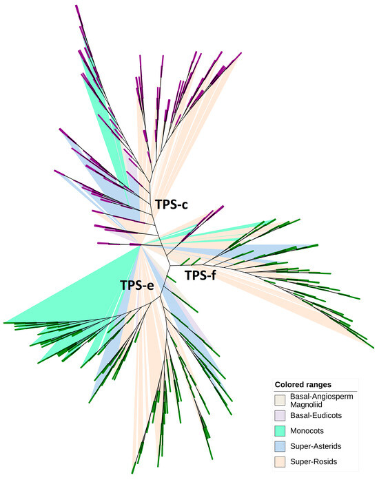 Phylogeny and Functional Differentiation of the Terpene Synthase Gene ...