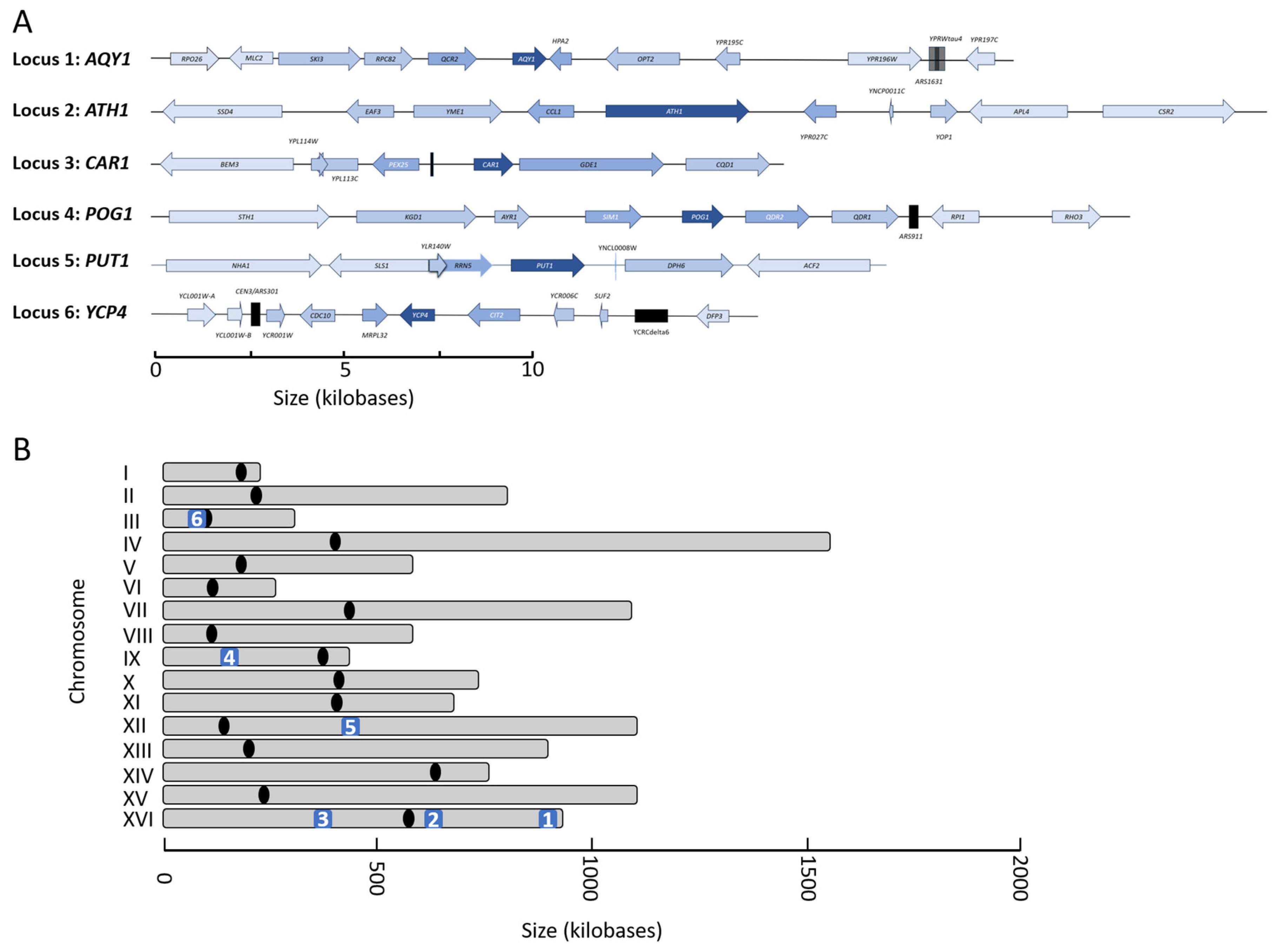 Systematic Characterization and Analysis of the Freeze–Thaw Tolerance ...