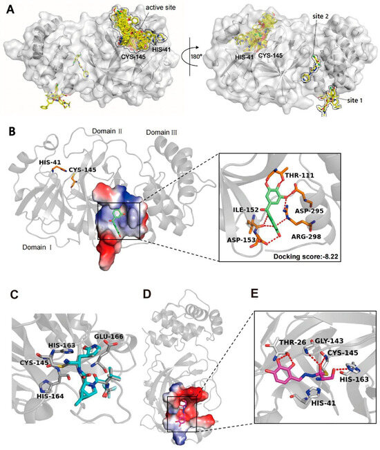 Identifying Exifone as a Dual-Target Agent Targeting Both SARS-CoV-2 ...