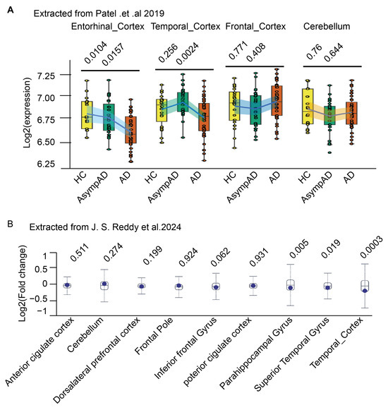 Unraveling the Roles of UBE3A in Neurodevelopment and Neurodegeneration