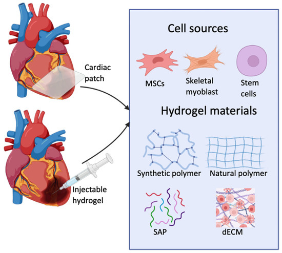 Hydrogels for Cardiac Tissue Regeneration: Current and Future Developments