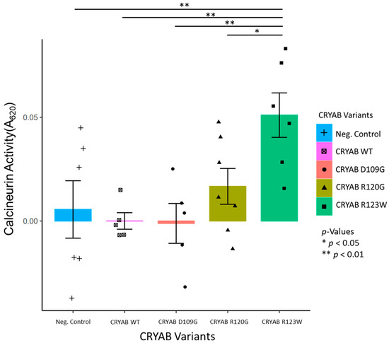 Hypertrophic Cardiomyopathy-Associated CRYABR123W Activates Calcineurin ...