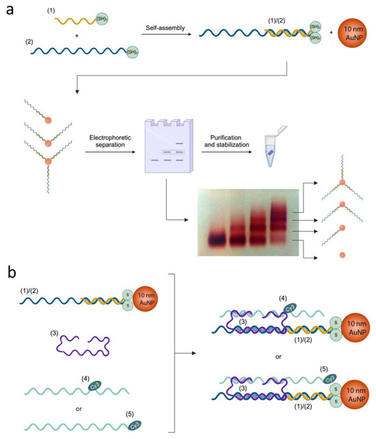 A DNA-Based Plasmonic Nano-Ruler