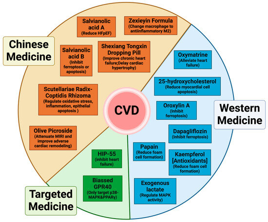 The Role of the MAPK Signaling Pathway in Cardiovascular Disease ...