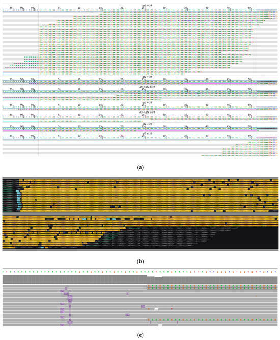 ONT in Clinical Diagnostics of Repeat Expansion Disorders: Detection ...