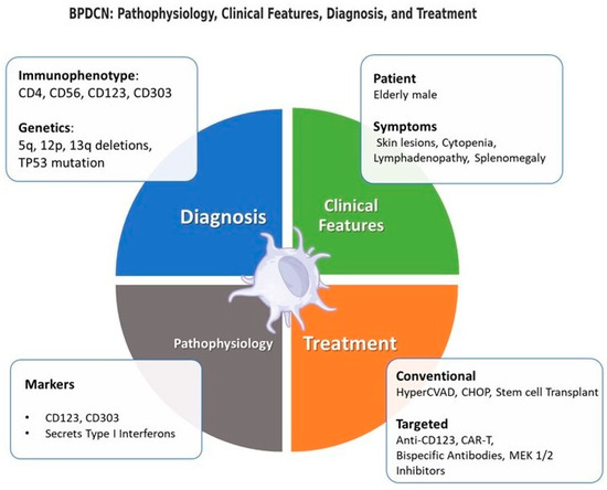 Immunotherapies Targeting CD123 and CD303: A New Frontier in Treating ...