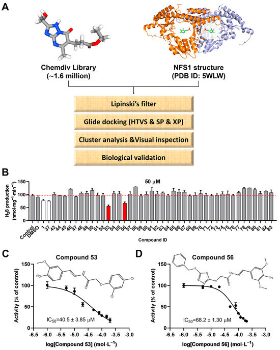 Identification of a Selective Inhibitor of Human NFS1, a Cysteine ...