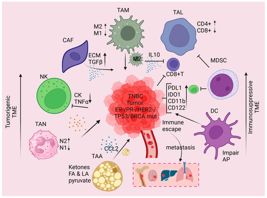 Tumor Microenvironment Dynamics of Triple-Negative Breast Cancer Under ...