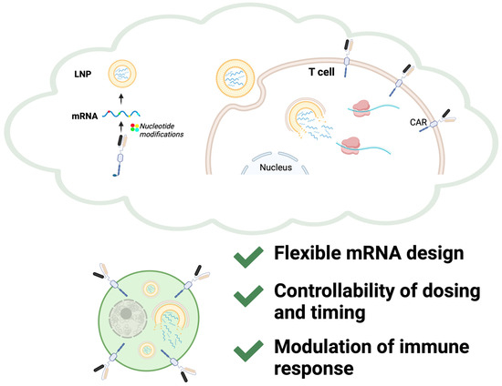 In Vivo Engineered CAR-T Cell Therapy: Lessons Built from COVID-19 mRNA ...