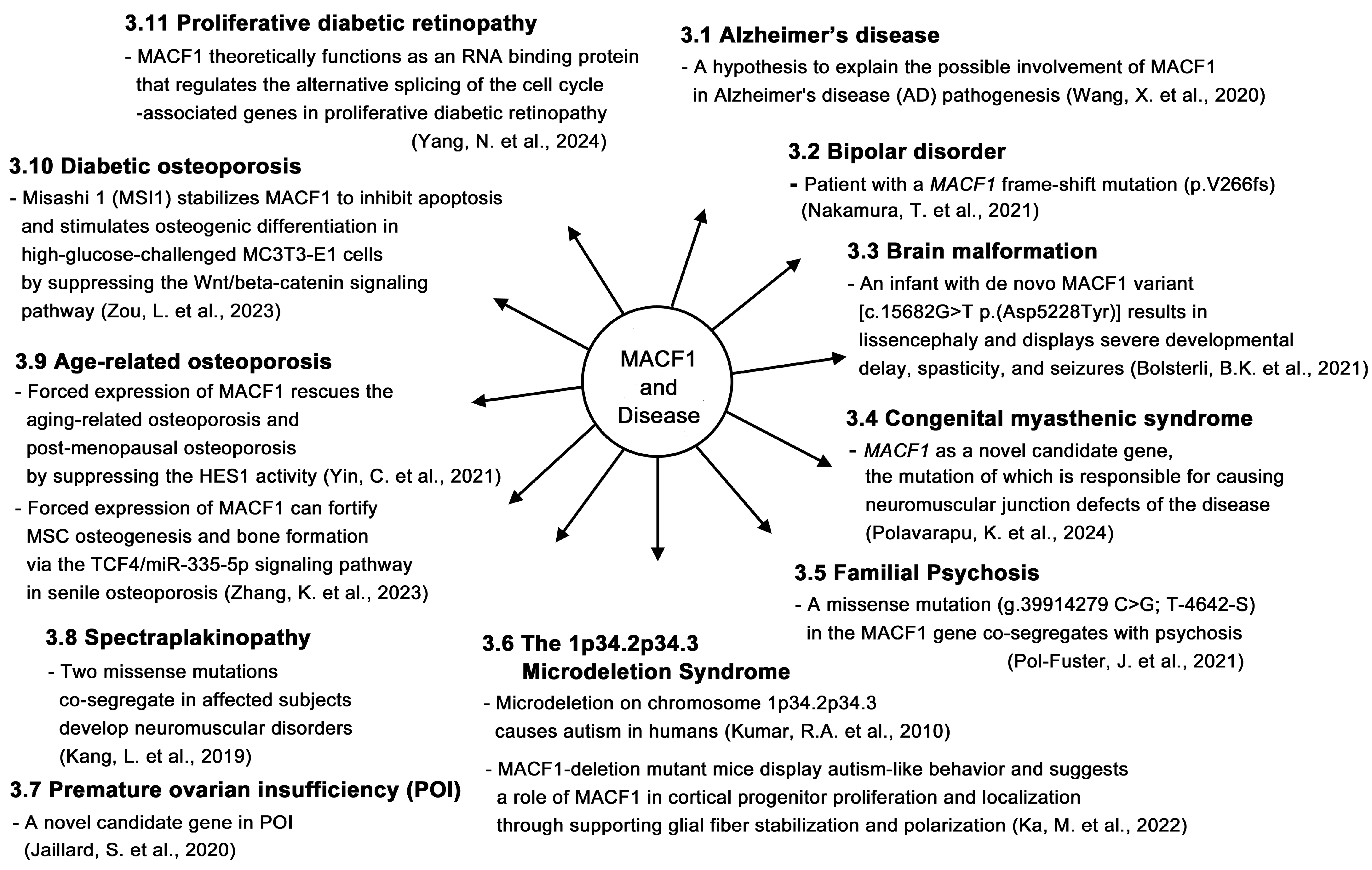 A Multifaceted Giant Protein Microtubule-Actin Cross-Linking Factor 1