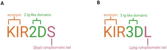 The Role of Killer Ig-like Receptors in Diseases from A to Z