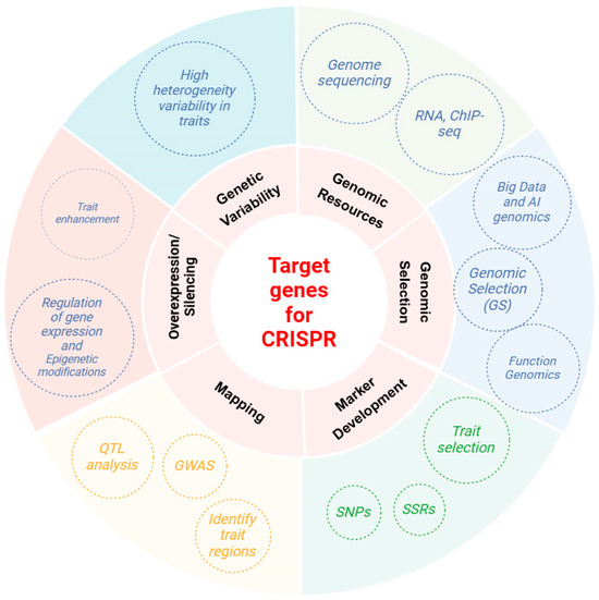 Harnessing the Potential of CRISPR/Cas in Targeted Alfalfa Improvement ...