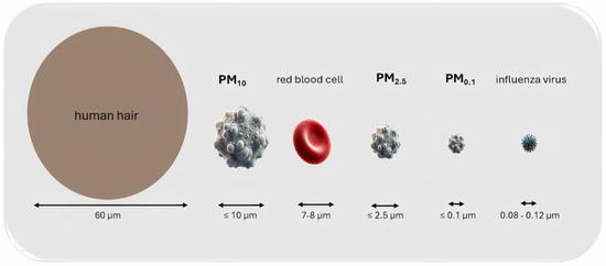 Air Pollution-Induced Neurotoxicity: The Relationship Between Air ...