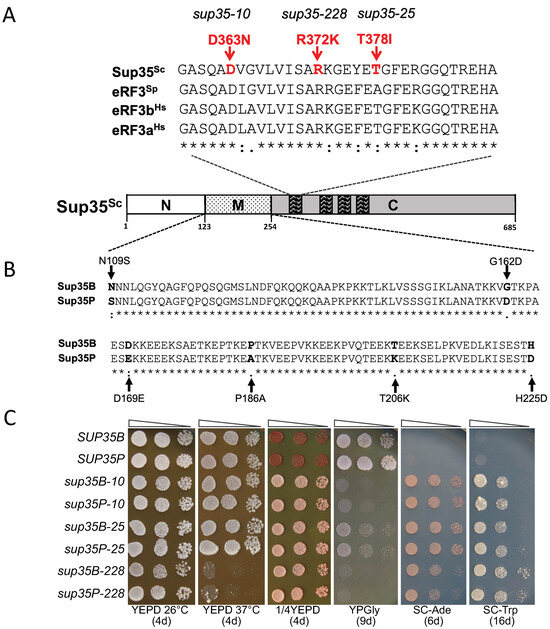 Prion-Dependent Lethality of sup35 Missense Mutations Is Caused by Low ...