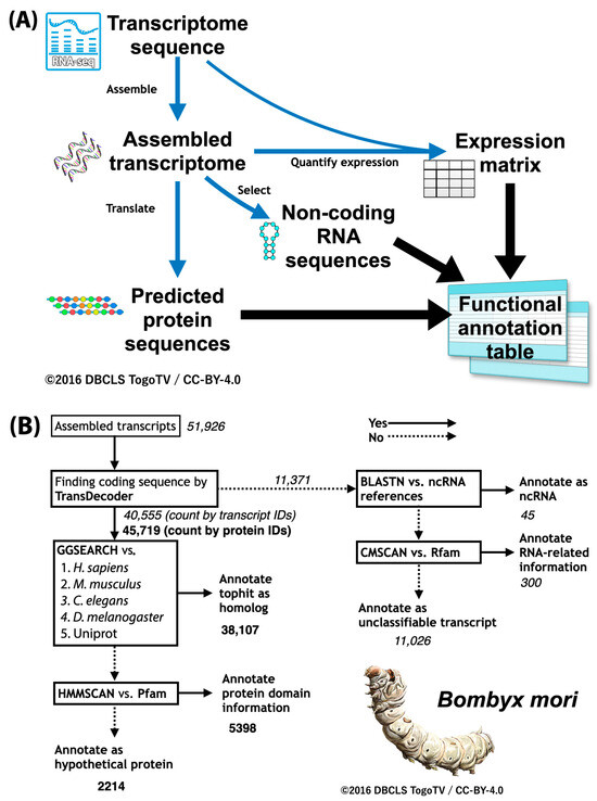 Recent Advances in Genome Editing and Bioinformatics: Addressing ...
