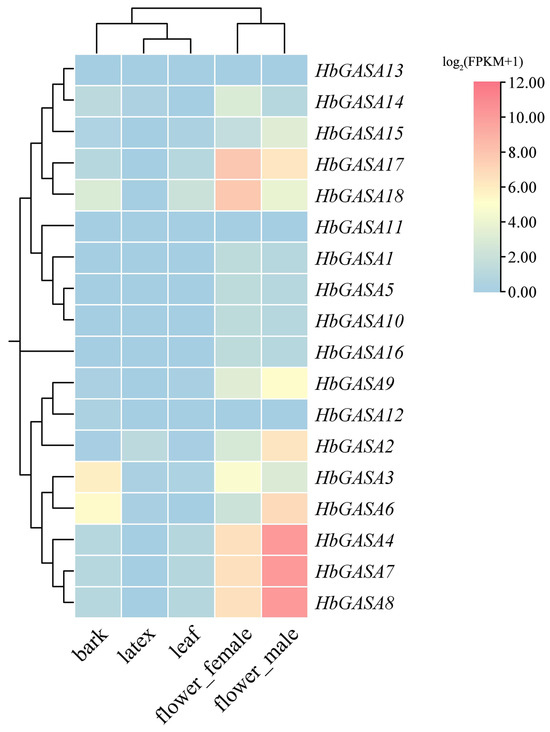 Genome-Wide Identification and Expression Analysis of GASA Genes in Hevea brasiliensis Reveals ...
