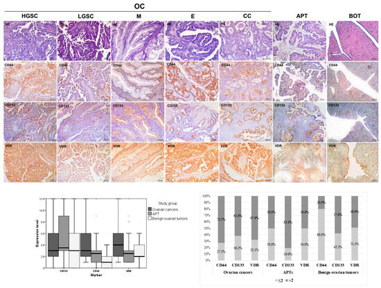 Diagnostic Potential of CD44, CD133, and VDR in Epithelial Ovarian Tumors: Association with ...