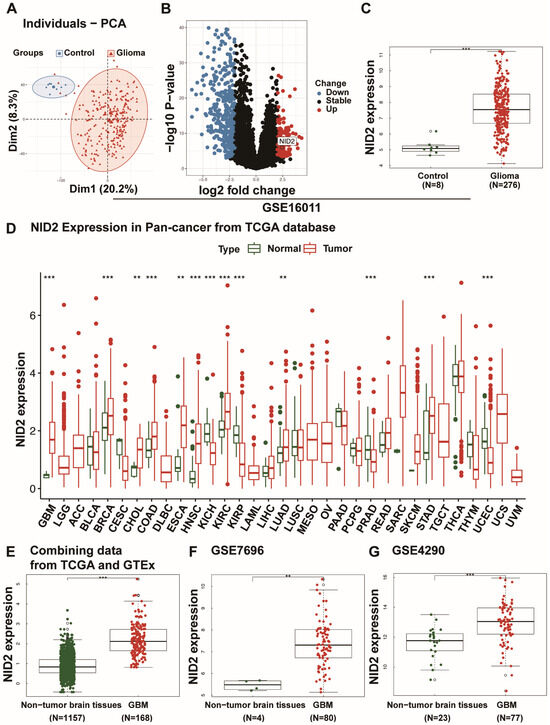 NID2 Affects Prognosis of Glioma via Activating the Akt Signaling Pathway