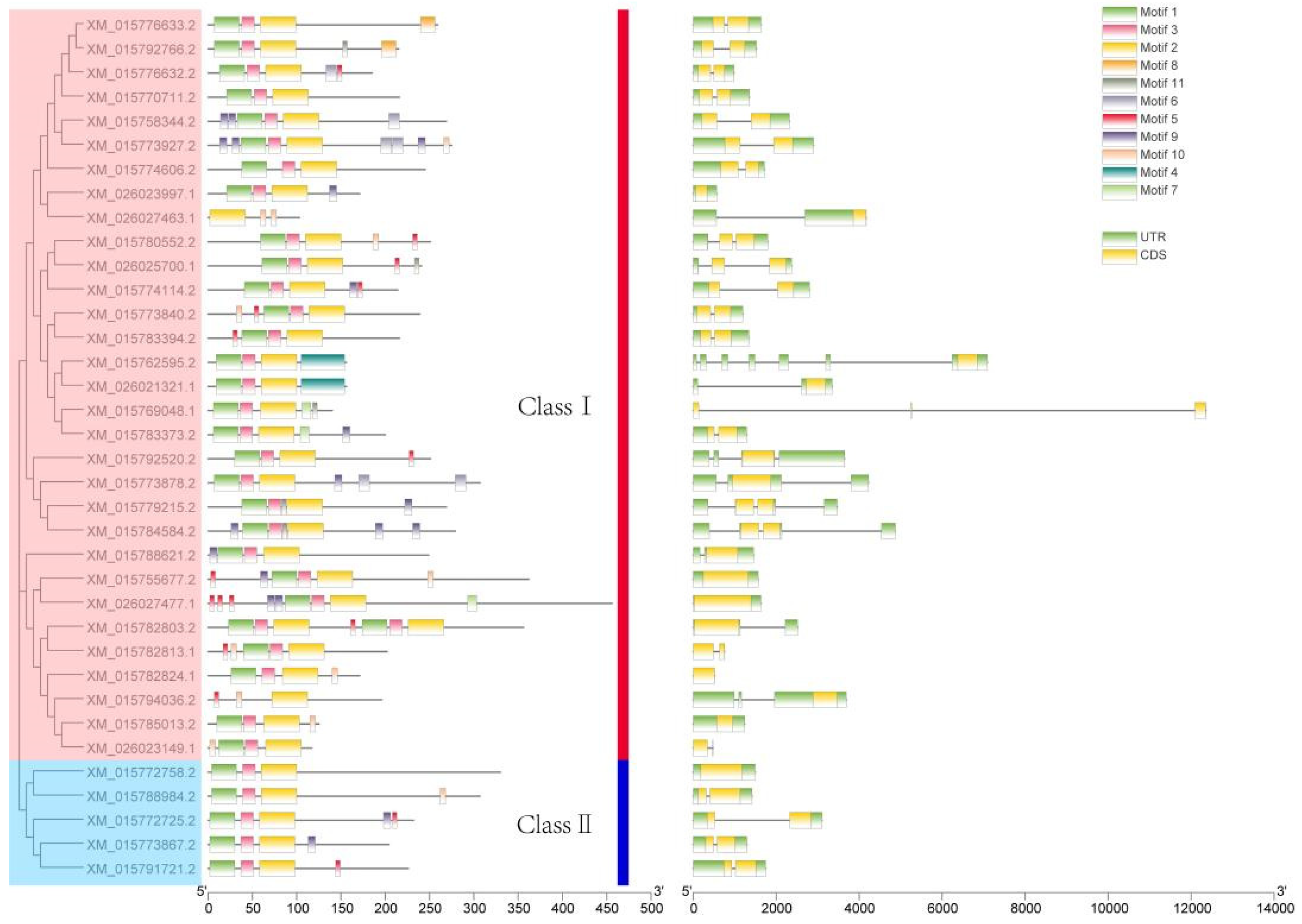 Comprehensive Characterization and Functional Analysis of the Lateral ...