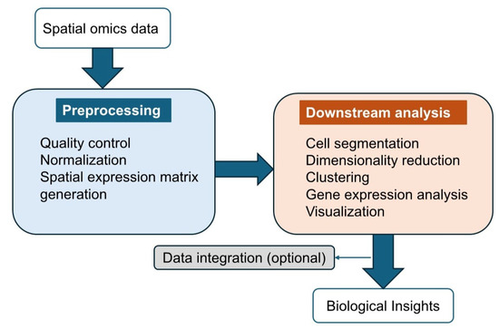 Spatial Omics in Clinical Research: A Comprehensive Review of ...