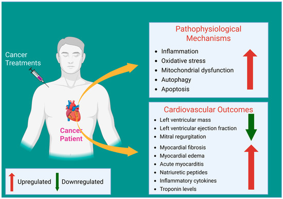 Understanding the Mechanisms of Chemotherapy-Related Cardiotoxicity ...