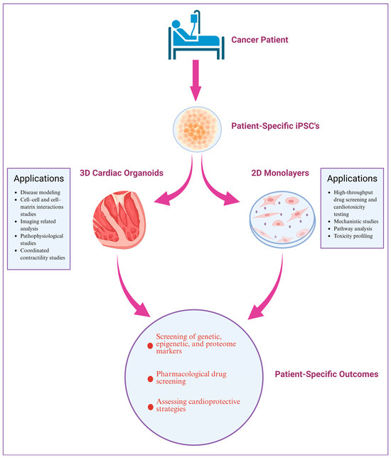 Understanding the Mechanisms of Chemotherapy-Related Cardiotoxicity ...