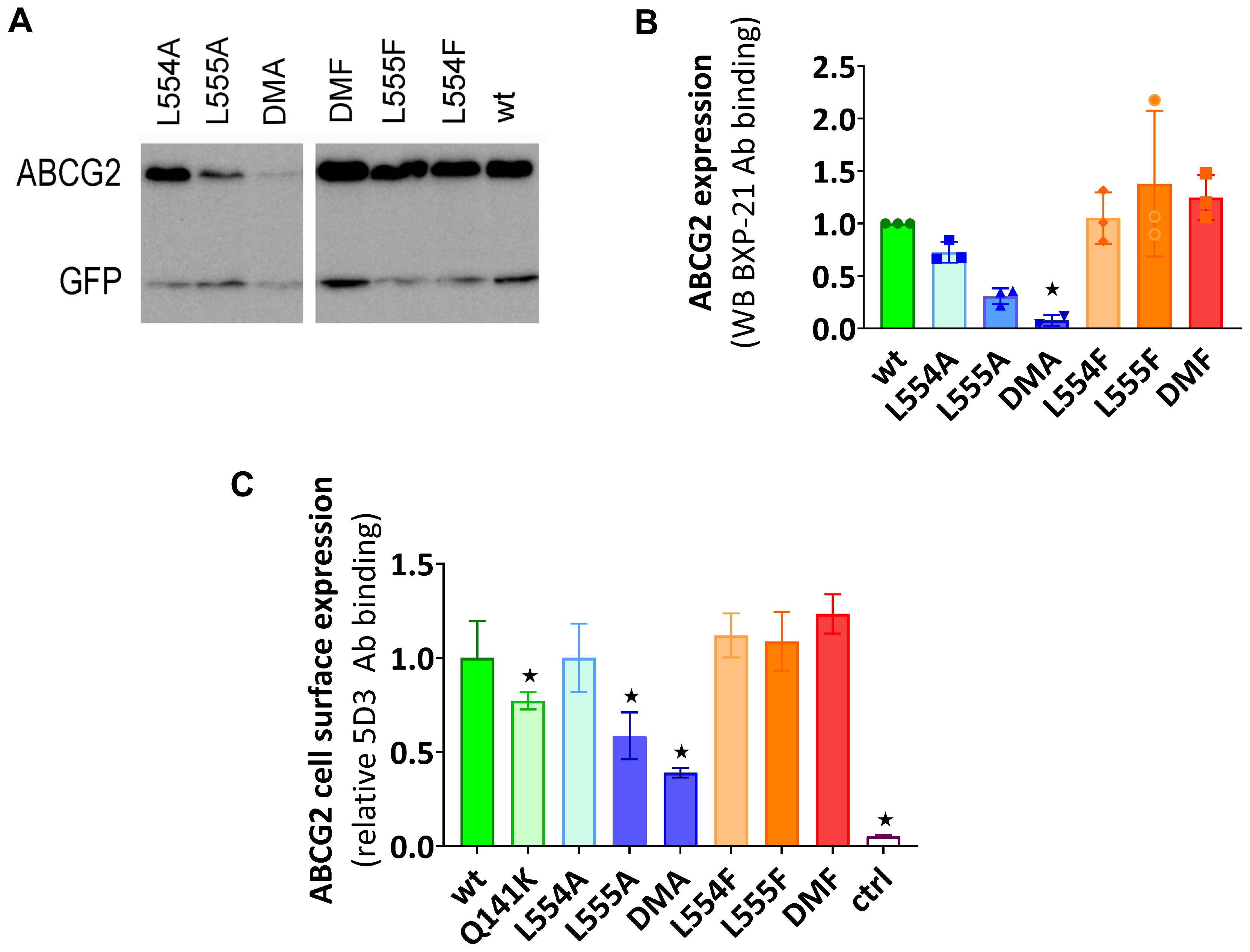 Revisiting the Role of the Leucine Plug/Valve in the Human ABCG2 ...