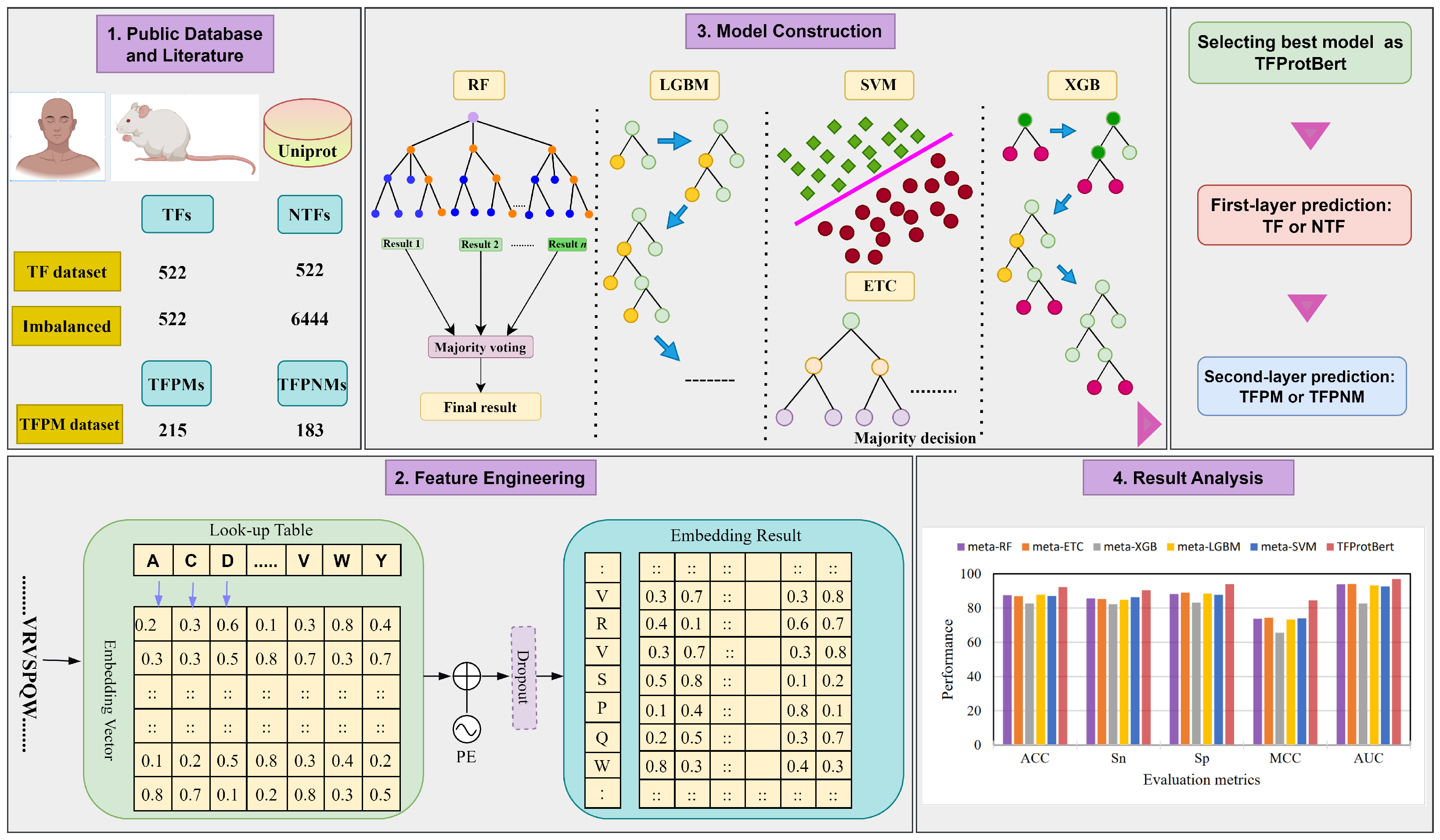 TFProtBert: Detection of Transcription Factors Binding to Methylated ...