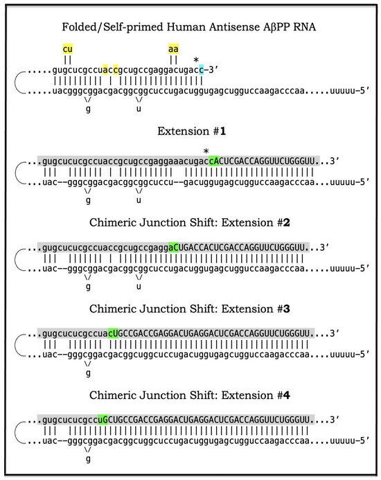 Alzheimer’s Is a Multiform Disease of Sustained Neuronal Integrated ...