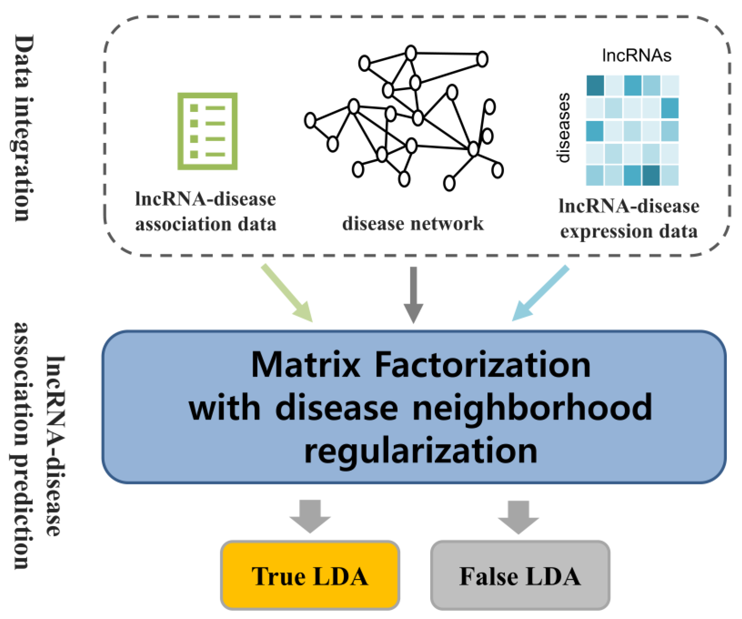 Neighborhood-Regularized Matrix Factorization for lncRNA–Disease Association Identification