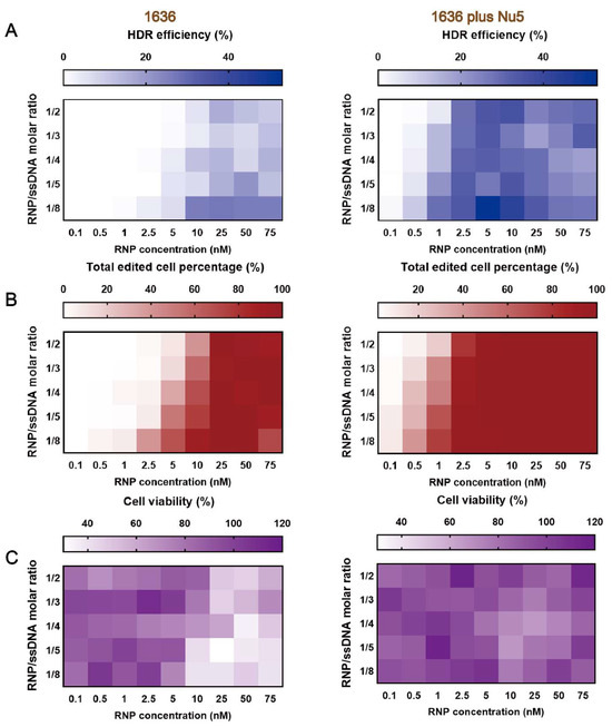 CRISPR/Cas9 Ribonucleoprotein Delivery Enhanced by Lipo-Xenopeptide ...