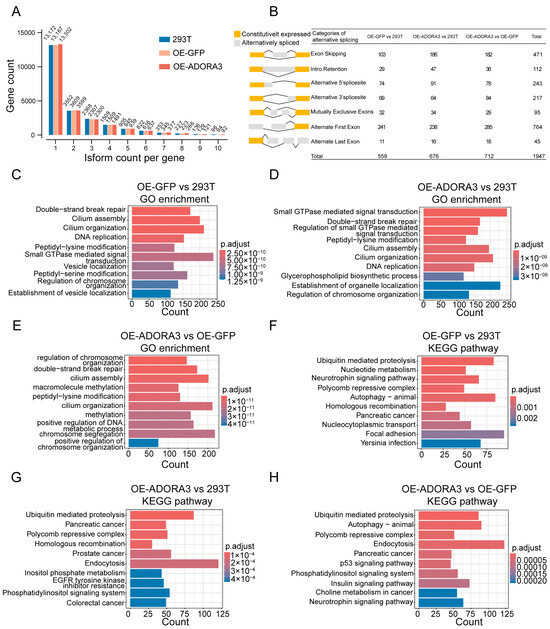 Transduction of Lentiviral Vectors and ADORA3 in HEK293T Cells ...