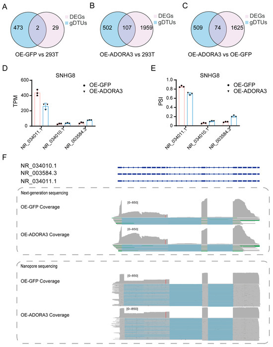 Transduction of Lentiviral Vectors and ADORA3 in HEK293T Cells ...