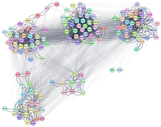 A Multi-Modal Graph Neural Network Framework for Parkinson’s Disease ...