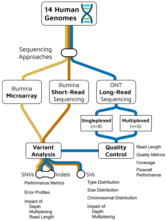 Investigating the Performance of Oxford Nanopore Long-Read Sequencing ...
