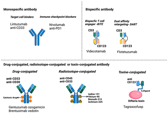 Monoclonal Antibodies Against Myeloid Leukemia Cells: Current Knowledge ...
