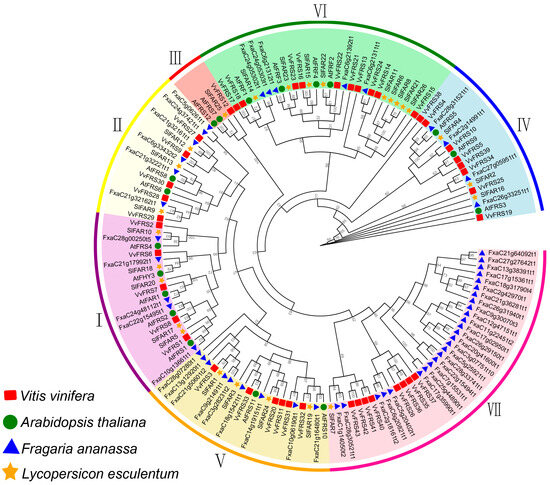 Genome-Wide Identification and Expression Analysis of the FAR1-RELATED SEQUENCE (FRS) Gene ...