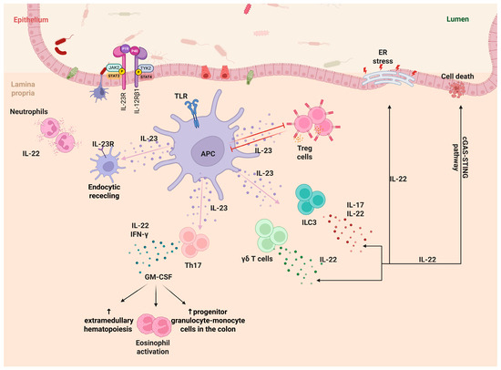 Targeting the IL-23 Receptor Gene: A Promising Approach in Inflammatory ...