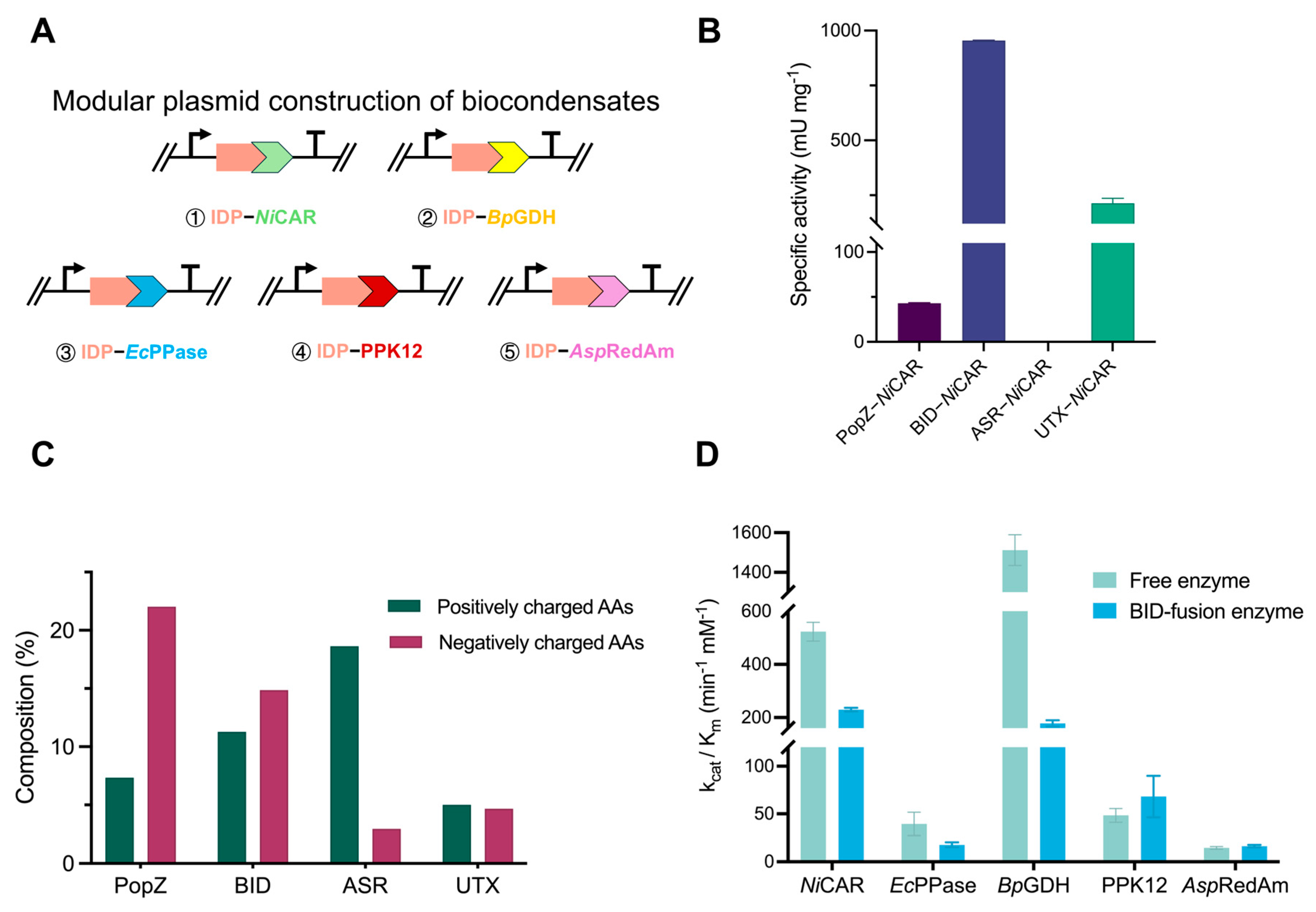 Phase-Separated Multienzyme Condensates for Efficient Synthesis of ...