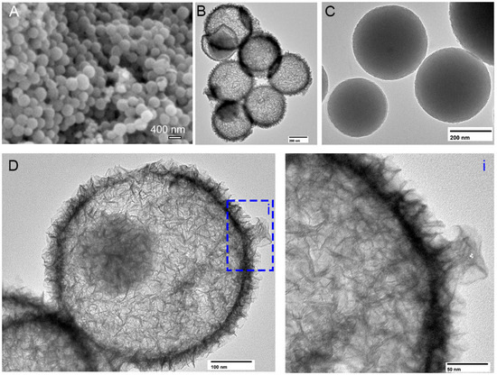 Doping of Hollow Urchin-like MnO2 Nanoparticles in Beta-Tricalcium ...