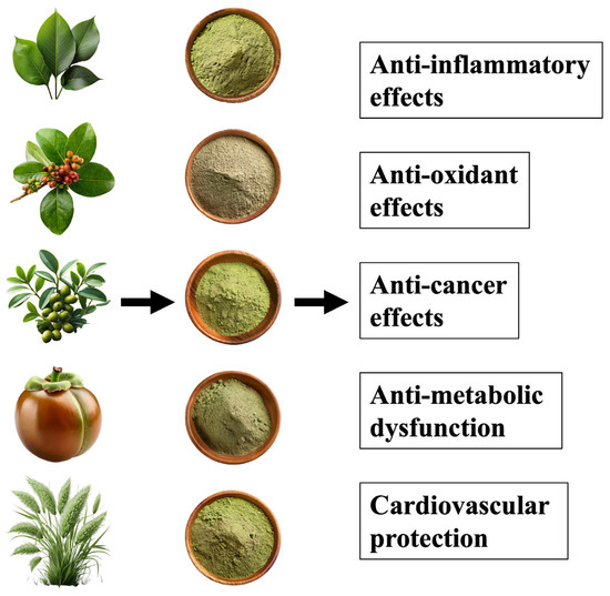 Anti-Inflammatory Actions of Plant-Derived Compounds and Prevention of Chronic Diseases: From ...