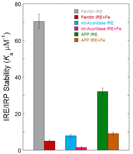 Iron-Mediated Overexpression of Amyloid Precursor Protein via Iron ...