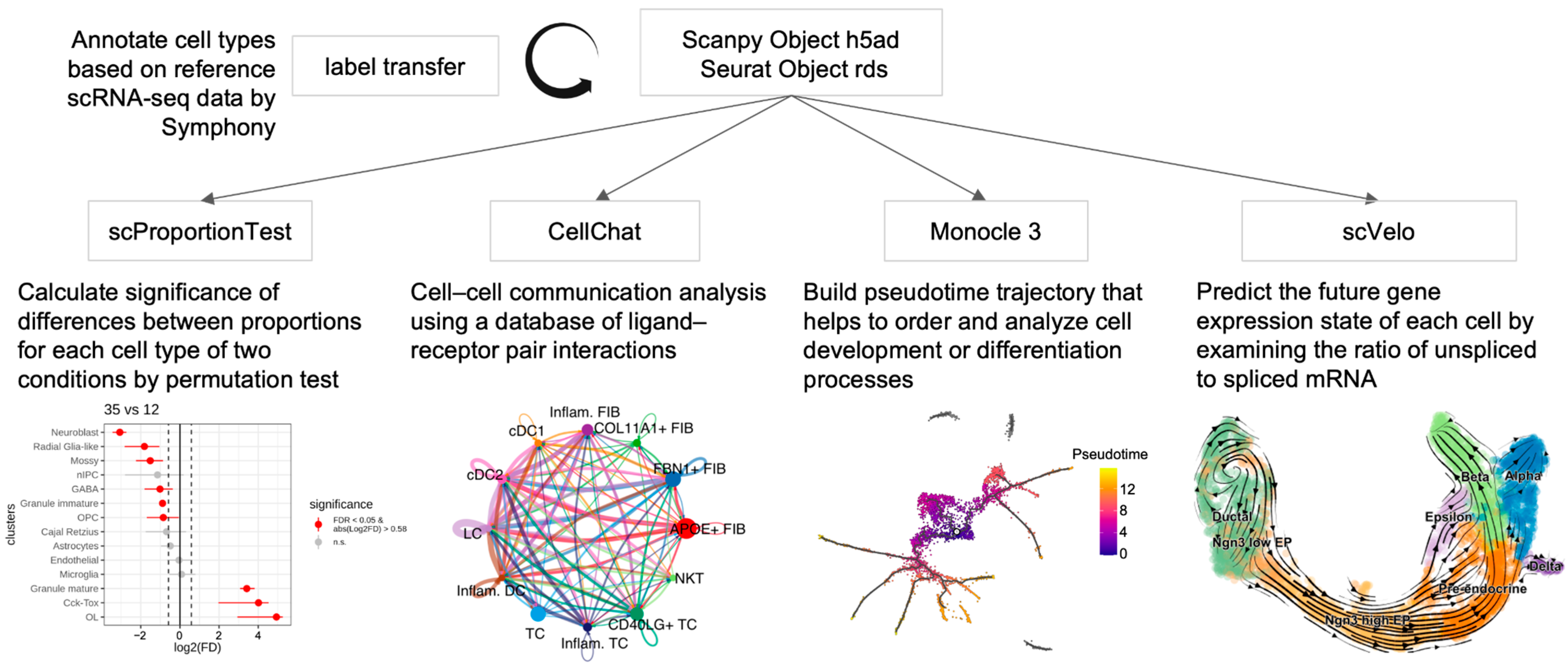 scDown – a pipeline for single-cell RNA-seq downstream analysis | RNA ... scDown – a pipeline for single-cell RNA-seq downstream analysis | RNA ...