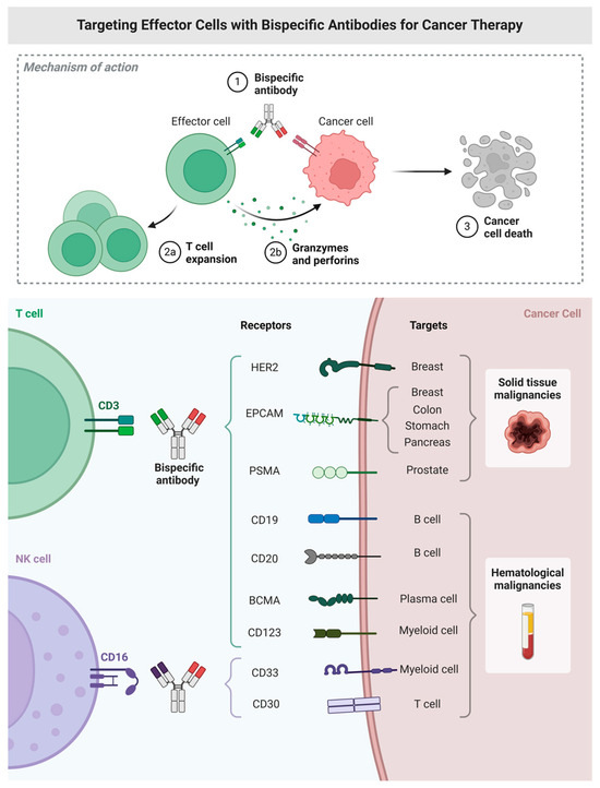 From Molecular Precision to Clinical Practice: A Comprehensive Review ...