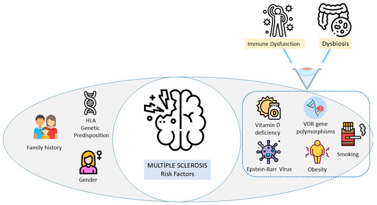 Breaking the Cycle: Can Vitamin D Bridge the Gap Between Gut Microbiota and Immune Dynamics in ...