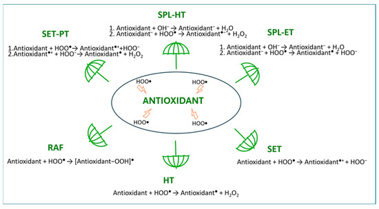 Theoretical Insight into Antioxidant Mechanisms of Trans-Isoferulic ...