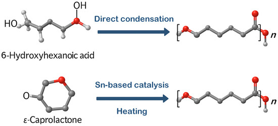 Biodegradation of Poly(ε-caprolactone): Microorganisms, Enzymes, and ...